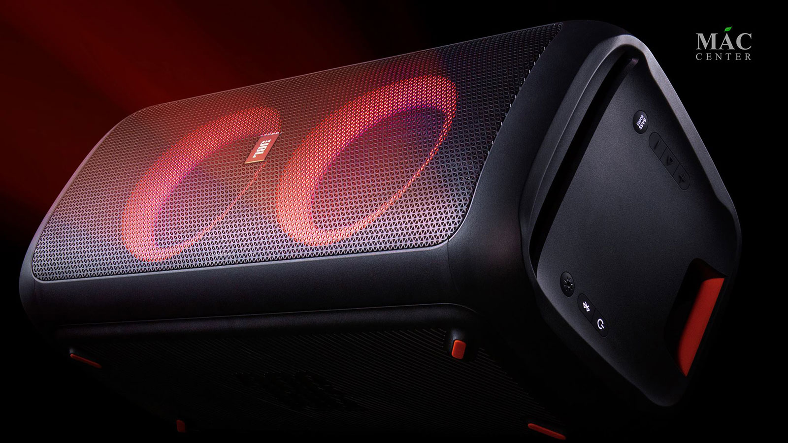 Loa JBL PartyBox 300